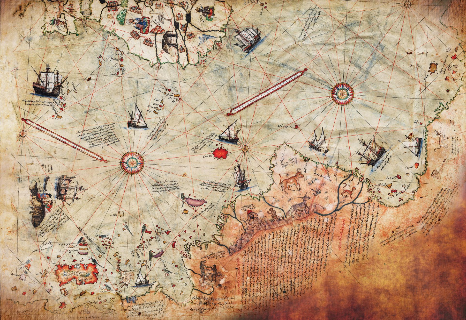 Fototapety na ścianę mapa piratów 42022 - sklep Naklejkomania