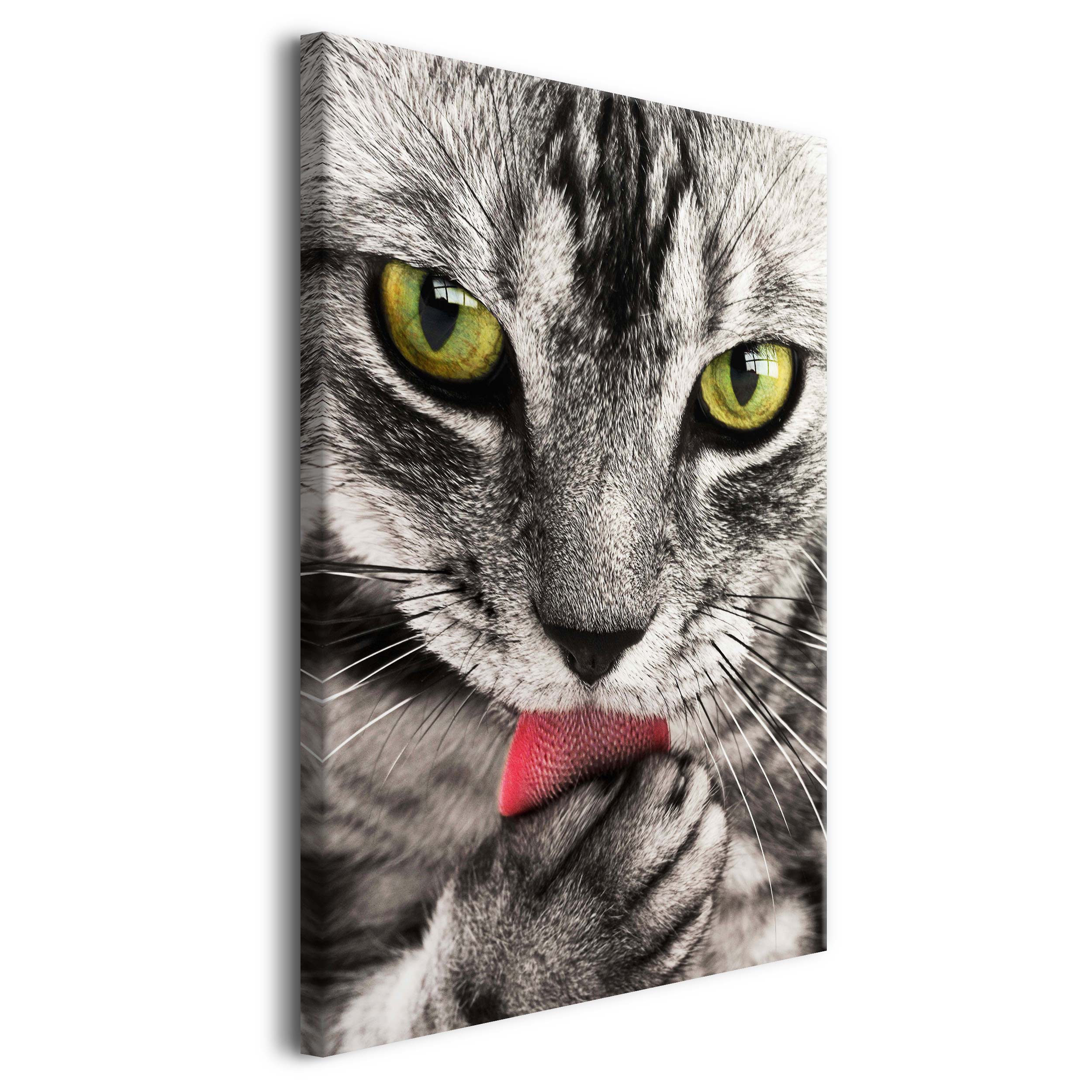 Obraz na ścianę Kot - urocze szare zwierzę z zielonymi oczami 92153