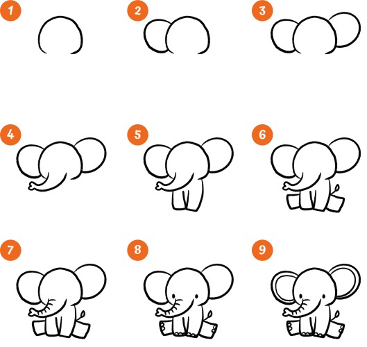 Jak narysować słonika? Instrukcja krok po kroku - sklep Naklejkomania